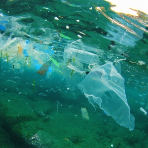 ZERO SINGLE-USE PLASTIC : DISTRIBUTEURS AUTOMATIQUES & GOBELETS - IMS ...