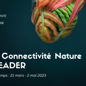 ECOLEADER : Une formation proposée par l’Université dans la Nature ...