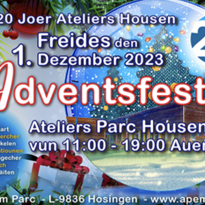 APEMH: Open days and end-of-year celebrations - IMS Luxembourg