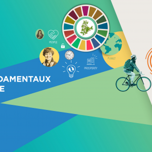 Découvrez le e-learning "Les fondamentaux de la RSE" - IMS Luxembourg